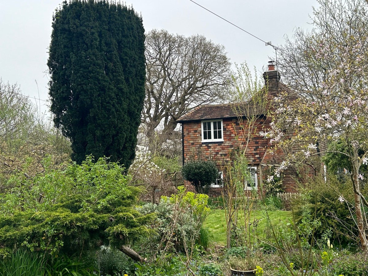 Glebe Cottage: A Historic Overview and Architectural Significance